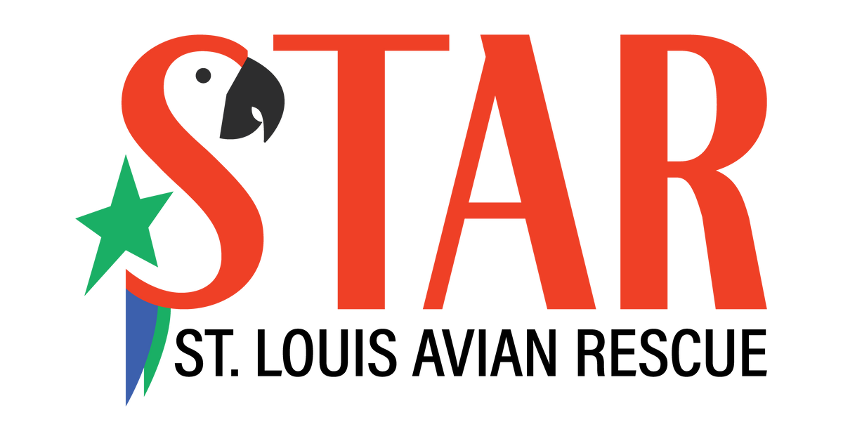Products – STAR
