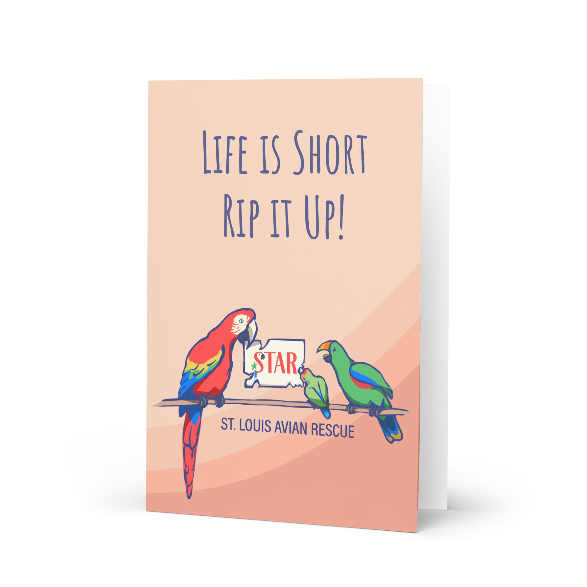 Kat Bird Bookshop - Blank Greeting card – STAR
