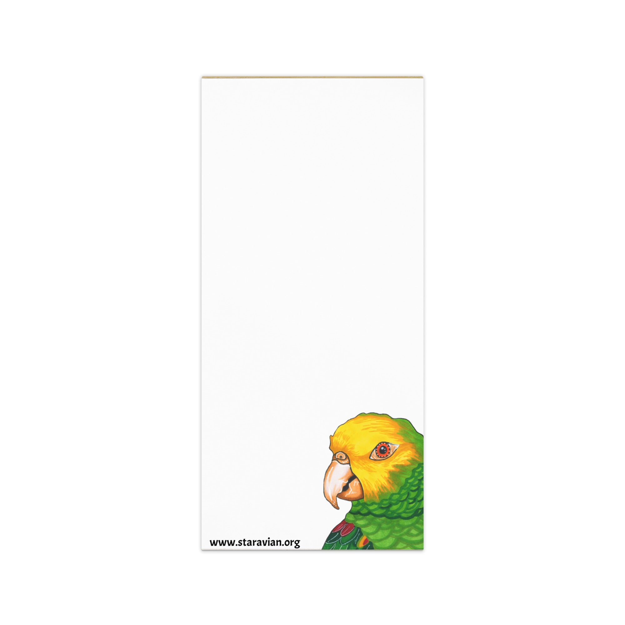 Andy the Amazon - Magnetic Notepad – STAR